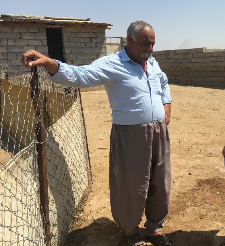 Warani : le talent d’un éleveur au grand coeur - Fraternité en Irak